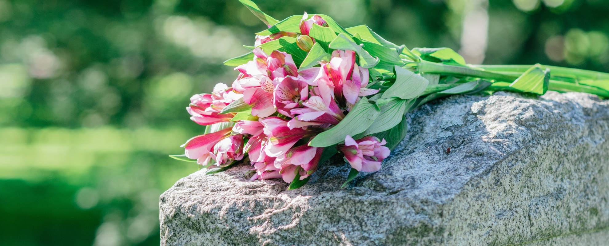 Granite Colors Texas Lonestar Monuments